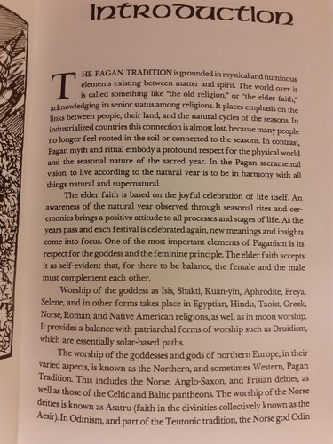 THE PAGAN BOOK OF DAYS NIGEL PENNICK - GUIDE TO TRADITIONS FESTIVALS ...