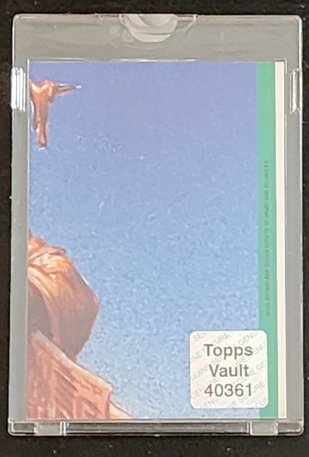 *2011 TOPPS VAULT Garbage Pail Kids GPK Flashback 3 SHORNED SEAN w ...