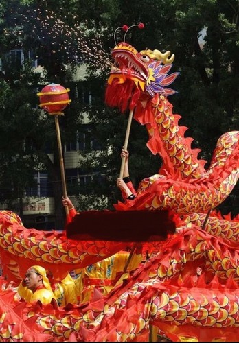 Traditional Dragon Dance 10 Players 3D Equipm Chinese New Year Folk ...