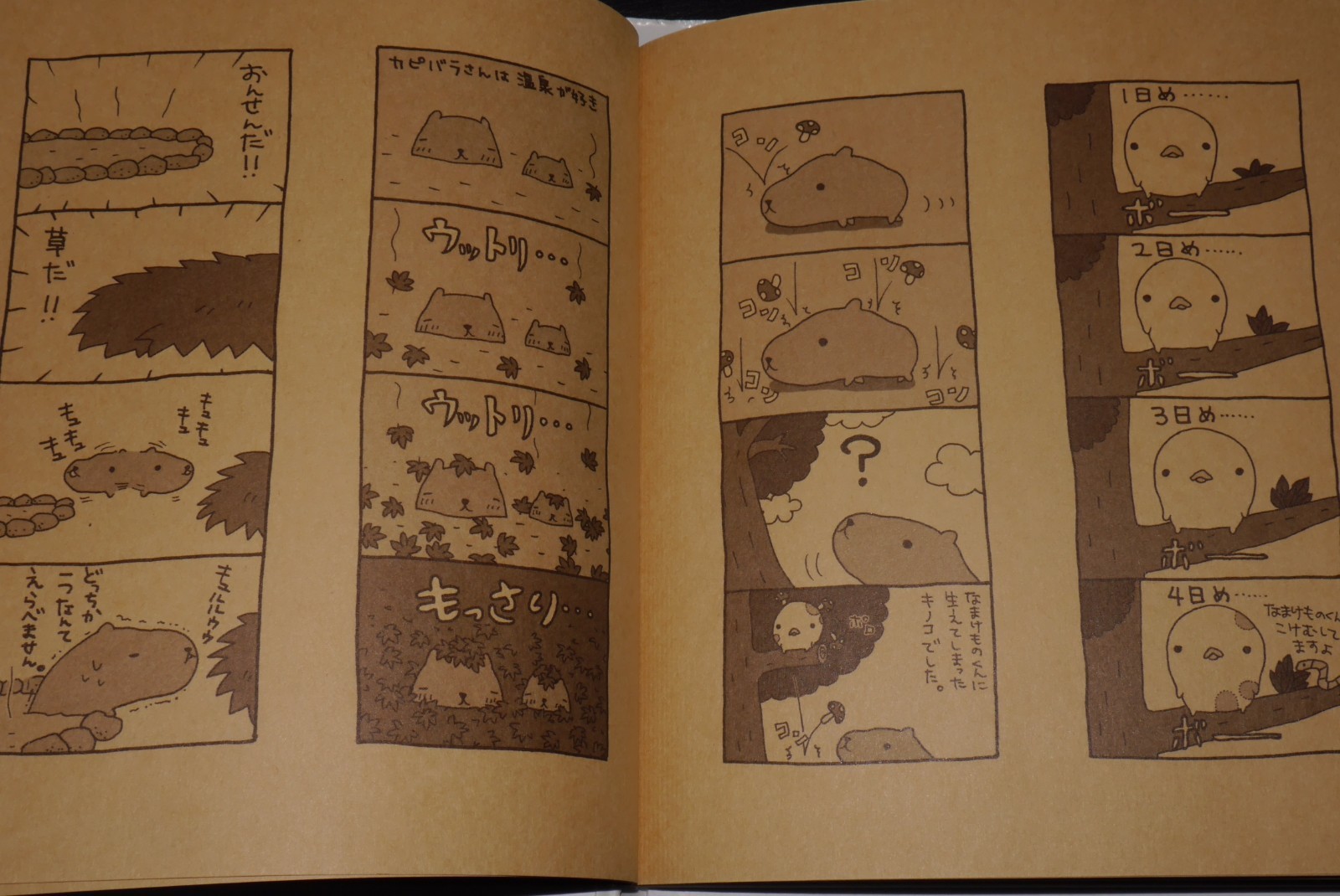 Kapibara-San Book, New Edition by Tryworks, JAPAN | eBay