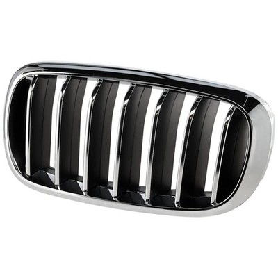 Left Grille 2014-2018 BMW X5 3.0L 4.4L 4 Cyl 6 Cyl 8 Cyl BM1200270 ...