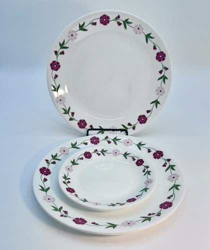 Corelle SPRING PINK 10-1/4" 3 Dinner 2 Bread & Butter Plates Red & Pink ...