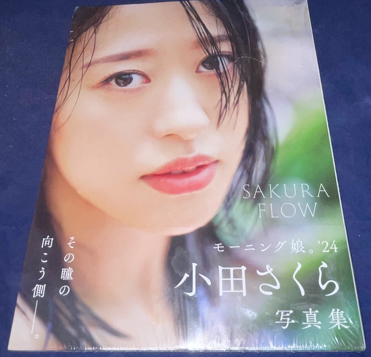 Morning Musume。 24 Sakura Oda Photo Book “SAKURA FLOW” Japanese Idol New | eBay