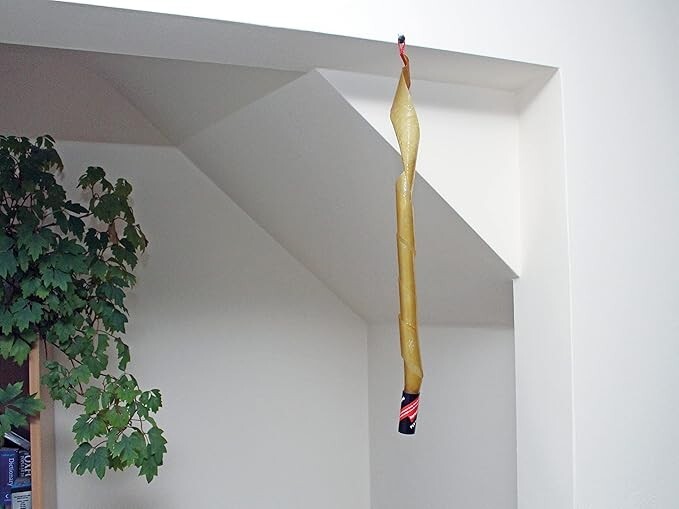 STV Fly Catcher Trap Twin Pack With Bait Zero In Potent Rescue Fly Trap ...