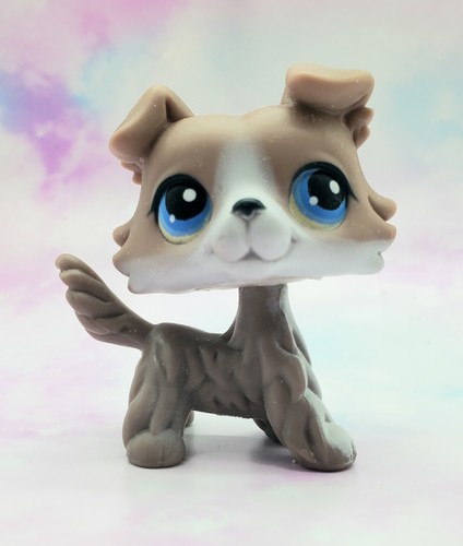 Littlest Pet Shop Authentic # 67 Brown White Collie Blue Eyes | eBay