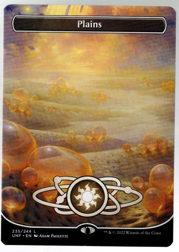Plains 235/244 Non Foil Borderless Land Unfinity Magic The Gathering NM ...
