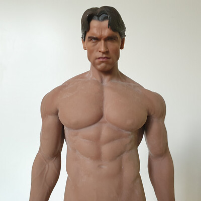 Hot Toys TBLeague M34 Terminator T800 Custom 1/6 Figure Arnold ...