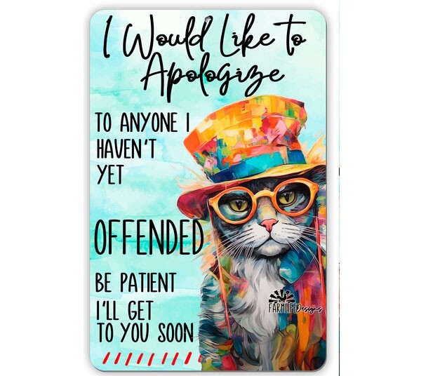 Offended Cat Meme When You Sneeze In Front Of Your Cat And They Look