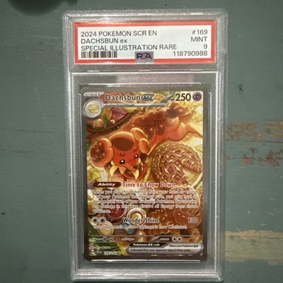 2024 POKEMON SCR EN-STELLAR CROWN SPECIAL ILLUSTRATION RARE DACHSBUN EX ...
