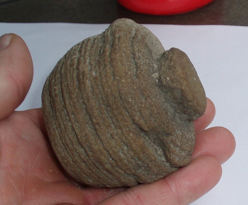 ANCIENT NATIVE AMERICAN INDIAN OR CAVEMAN STONE MACE WAR CLUB ARTIFACT ...