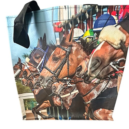 X2 Horses At Starting Gate Racing Theme Kentucky Derby 151 Tote ...
