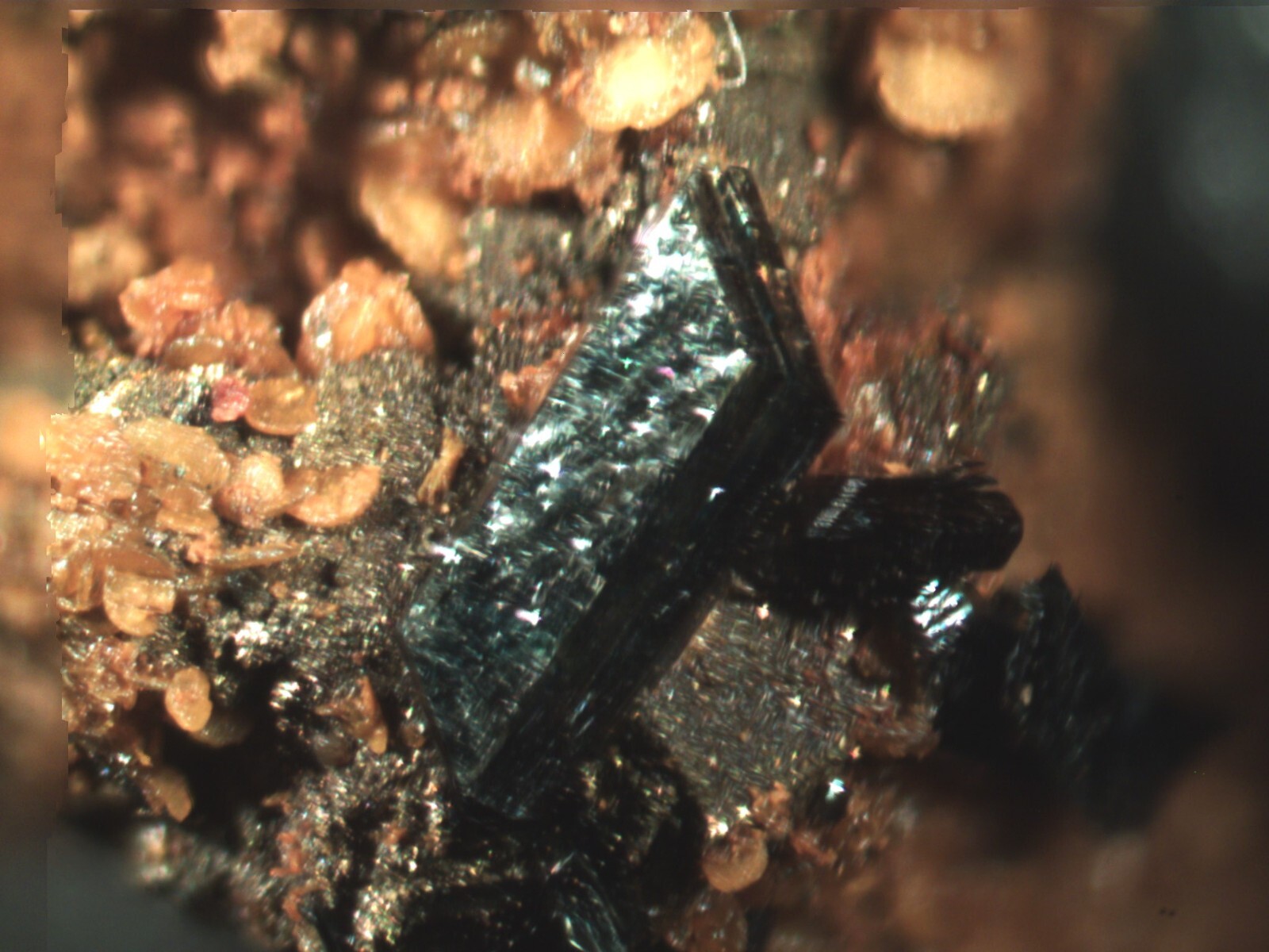 VIVIANITE RARE MINERAL MICROMOUNT FROM SPAIN | eBay