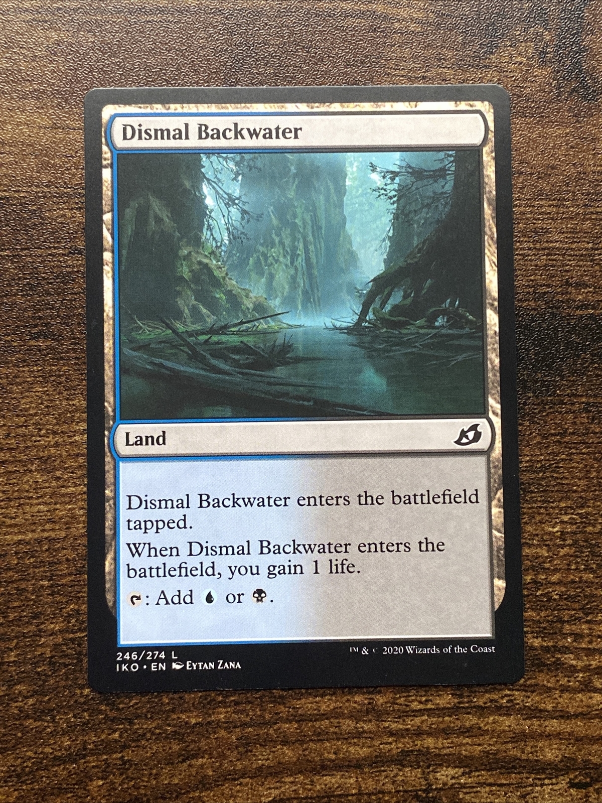 Dismal Backwater 246/274 Ikoria: Lair of Behemoths Magic MTG D6359* | eBay