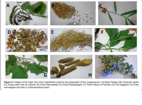 2X Ayurvedic Herbal Drink Paspanguwa For Cold Cough Relief Link ...