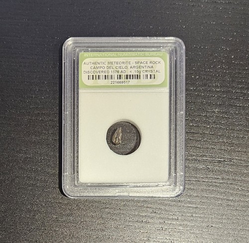 Authentic Campo Del Cielo Meteorite Authenticated Certified Holder INB ...