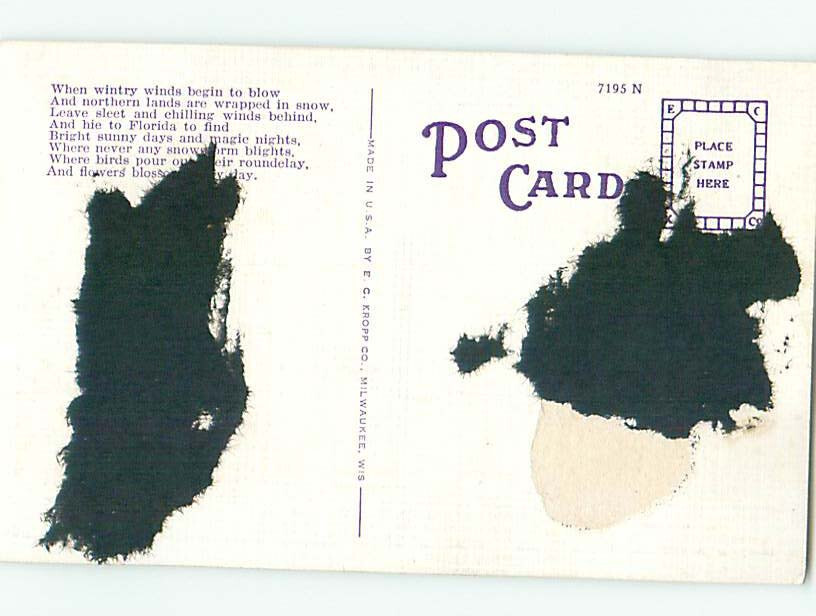 Linen POST OFFICE SCENE Fort Myers Florida FL 10/30 AF1031 | eBay