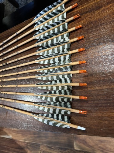 Gold Tip Traditional Arrows 12 | eBay