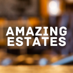 Amazing Estates | eBay Stores