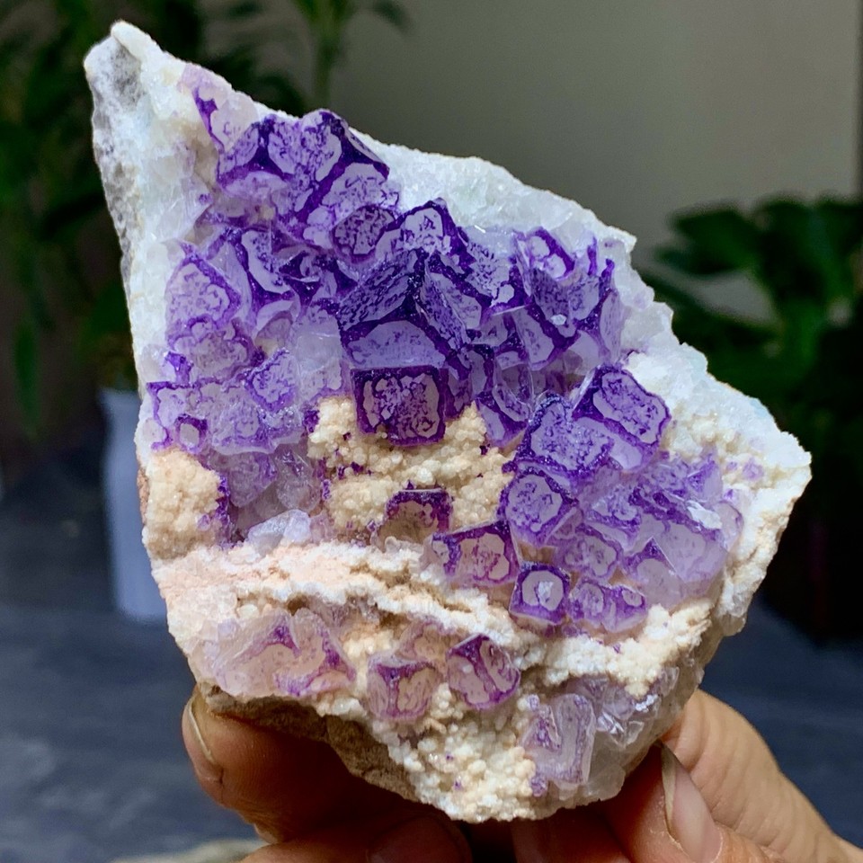 212G Natural Purple "QR Code"Fluorite Cluster Crystal Mineral Specimen ...