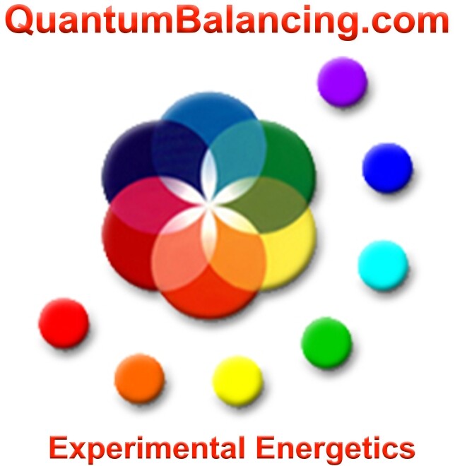 3-PACK 12-Magnet Water Vortex Magnetizer for Structured Water - BUY 3 ...