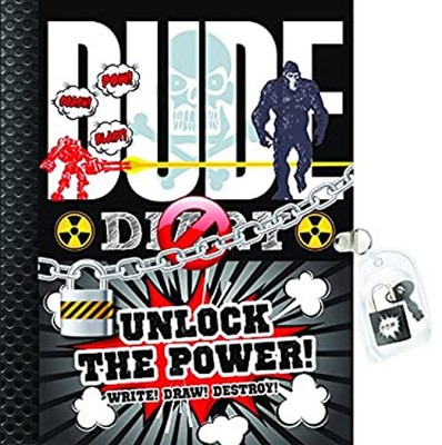 Dude Diary: Unlock the Power! : Write! Draw! Destroy! Cheryl, Gil ...