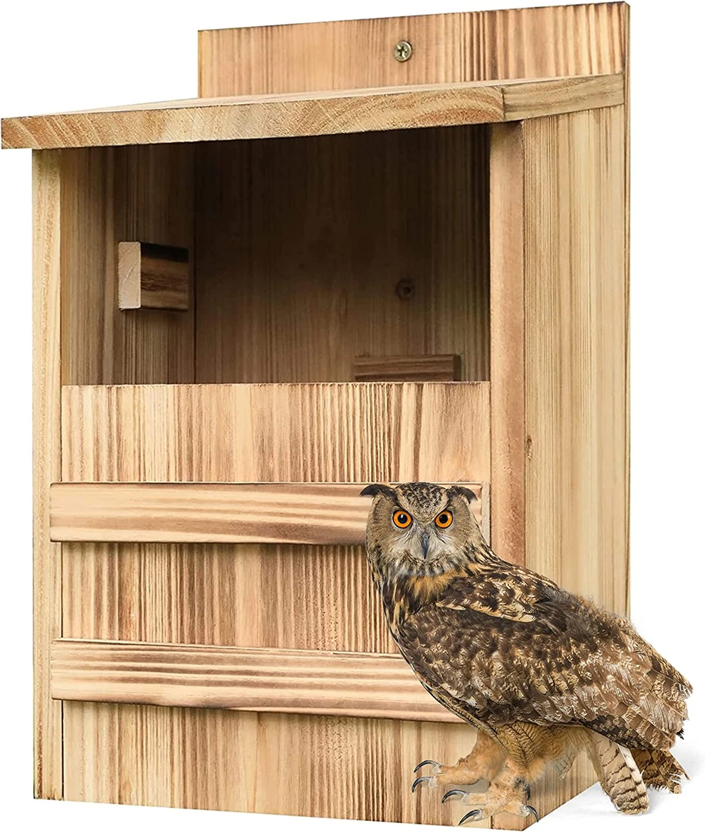 Great Horned Owl Nest Box