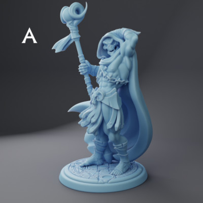 Sexy Lich Skeletor Fantasy Miniature DnD Tabletop RPGs Twin Goddess ...