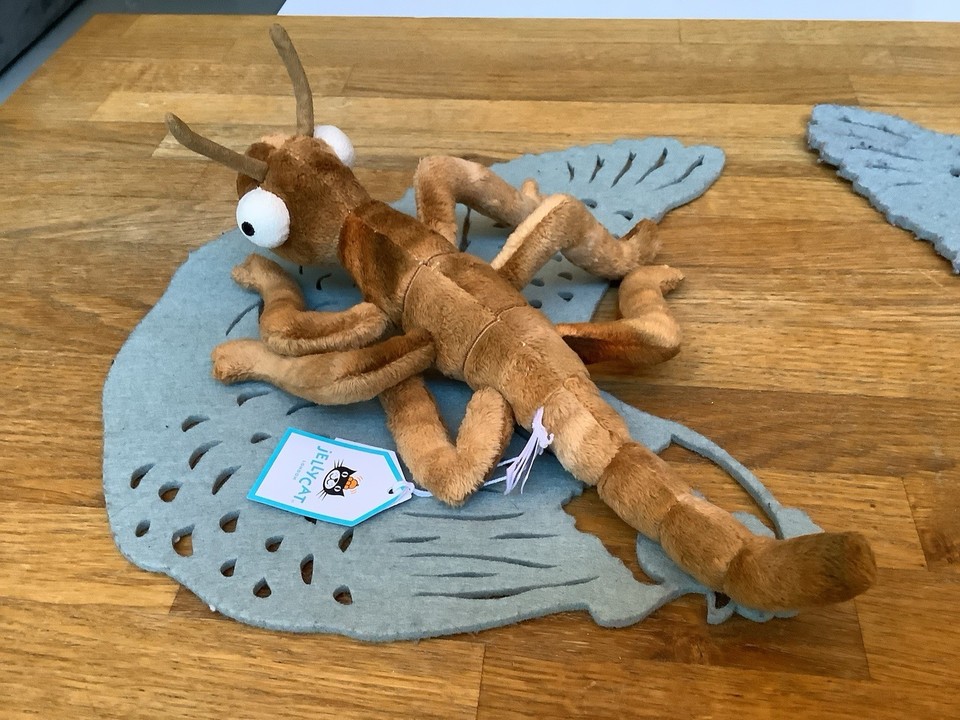 ‘Stanley’ The Stick Insect- Genuine Jelly Cat - Retired | eBay UK