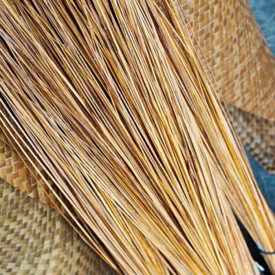 100 PCS Dried Coconut Leaf Broom Stick (Iratu) 24 inch Palm Fiber ...