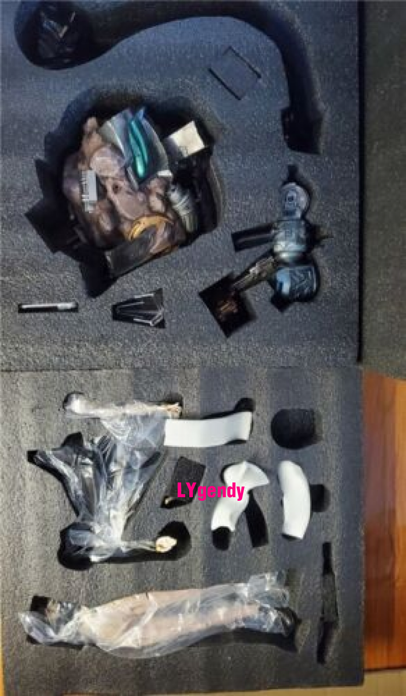 Alita Battle Angel Resin Black Pink Studio Statue Original 1/4 52cm NEW ...