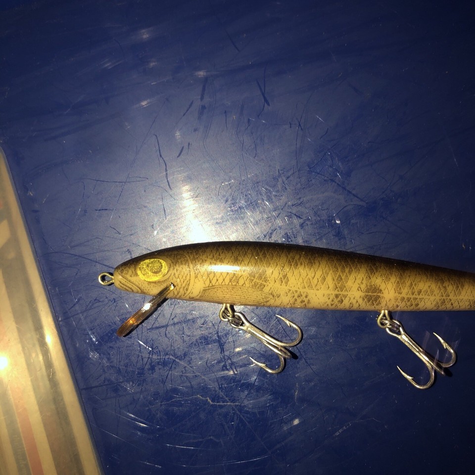 Naturalized redfin sucker Fishing Lure Rebel Minnow Floater rare color ...