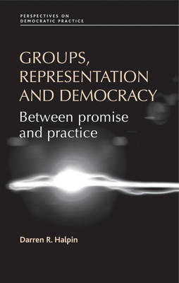 Groups, Representation and Democracy: Between Promise and Practice by ...