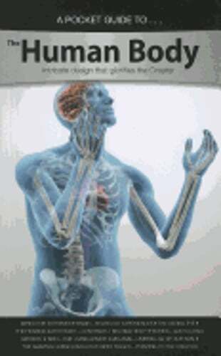 A Pocket Guide to the Human Body: Intricate Design That Glorifies the ...