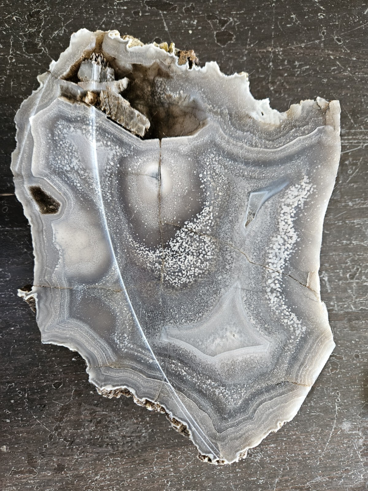 Luna Agate Rough With Snow Flake New Mexico 5 LBS + | eBay