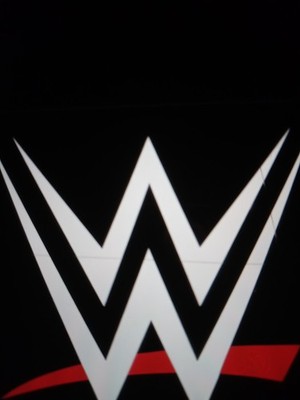 Wwe Wrestlepalooza 2025 With Countdown 2 Disc Dvd | eBay