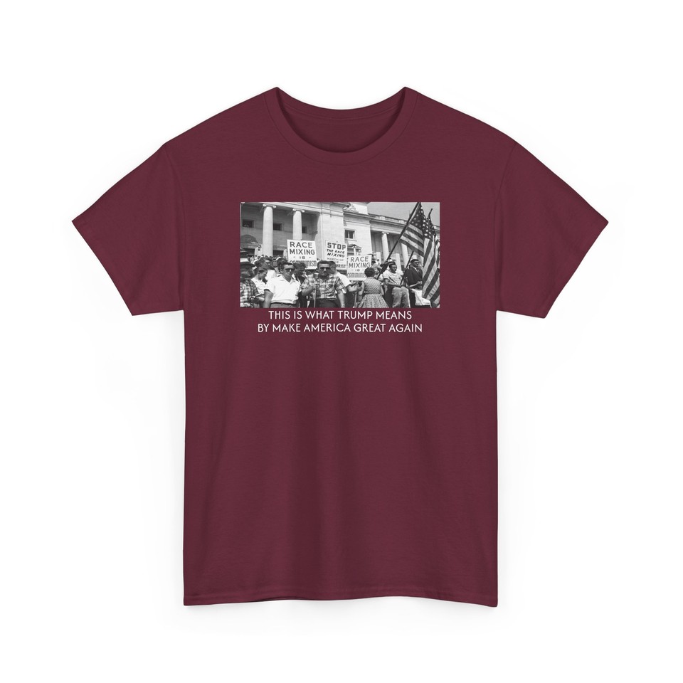 Protest Integration Unisex Tee, Civil Rights Movement Shirt, Little ...
