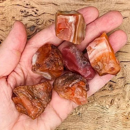 Natural Raw Carnelian Stone Red Agate Healing Gemstone Mineral Specimen ...