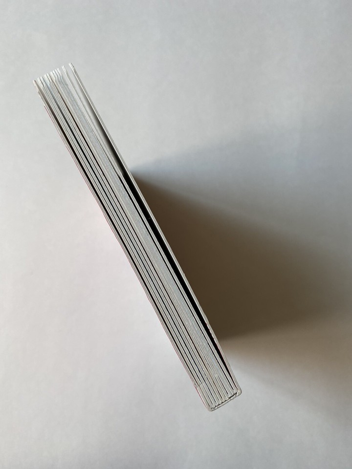 Larry Gets Lost: Larry Loves San Francisco! by John Skewes (2014, Board ...