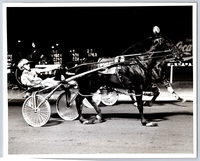 Harness Racing Trotter Horse Race Easy Goer Meadowlands Racetrack 8x10 ...