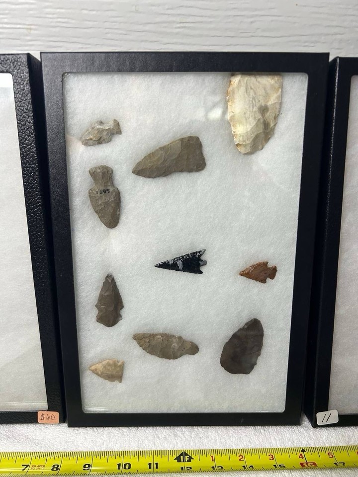 LOT Authentic Arrowheads Native American Display Case From An Estate | eBay