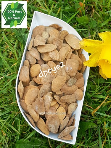 Dry Hunteria Umbellata ABERE SEEDS (Abeere Akuamma) OSU FRUIT NKOPOKIRI ...
