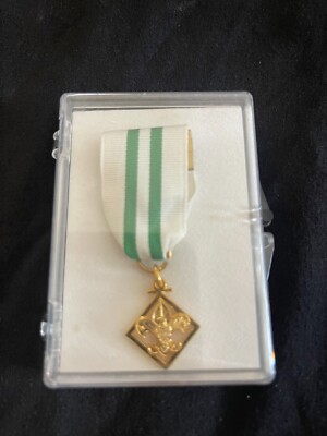 BOY SCOUT - CUB SCOUT DEN LEADER COACH TRAINING AWARD 5120 NOS | eBay