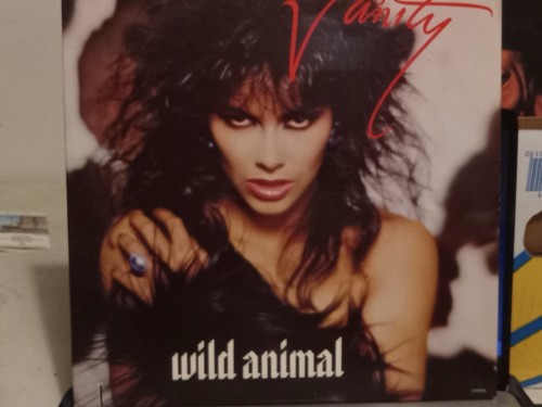 LP 33 1/3 Vanity/Wild Animal 1984 Motown Vinyl Near MINT c pics | eBay