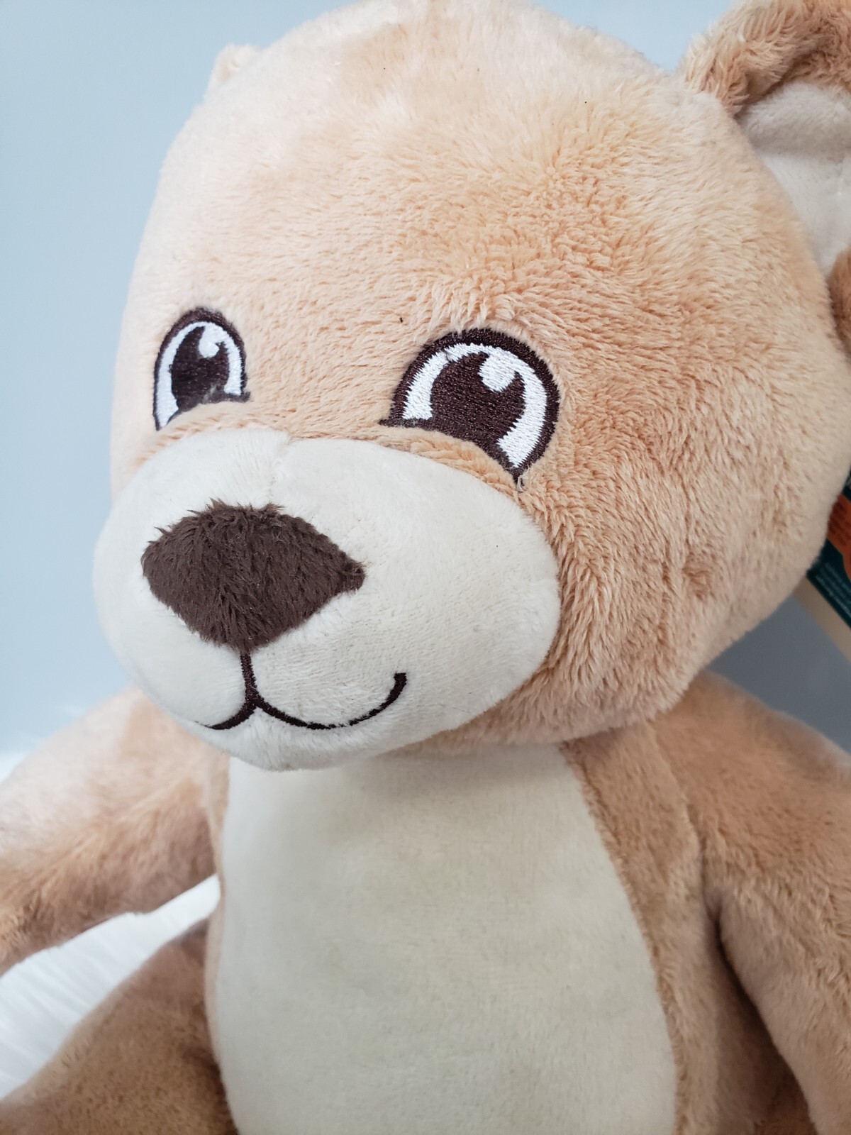 Build a Bear Velvet Hugs Teddy Plush Stuffed Animal Asthma and Allergy ...