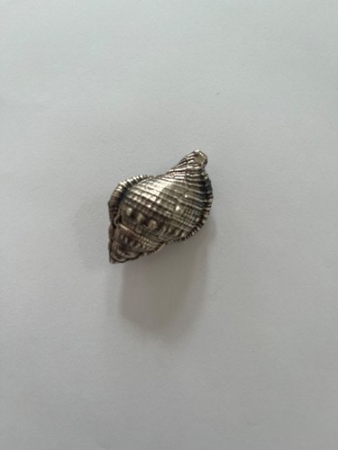 Large sterling silver shell pendant | eBay UK