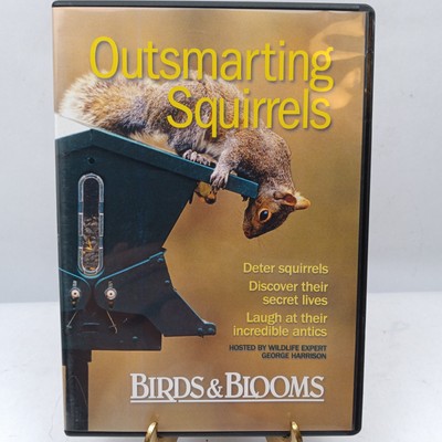 Outsmarting Squirrels DVD Deter squirrels, Discover their secret lives ...