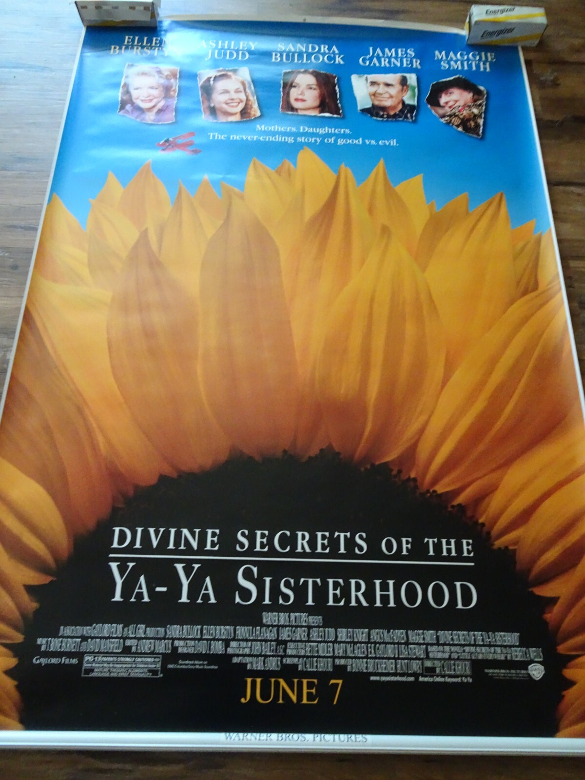 DIVINE SECRETS OF THE YA-YA SISTERHOOD - MOVIE BANNER WITH ELLEN BURSTYN | eBay