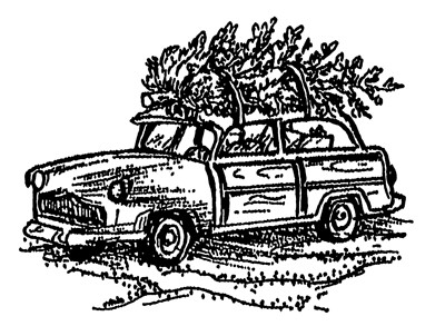 Christmas Tree Old Car Small Wood Mounted Rubber Stamp NORTHWOODS ...