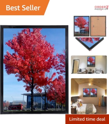 Lightweight 12x16 Matted Picture Frame - Safe Plastic Cover for Wall ...