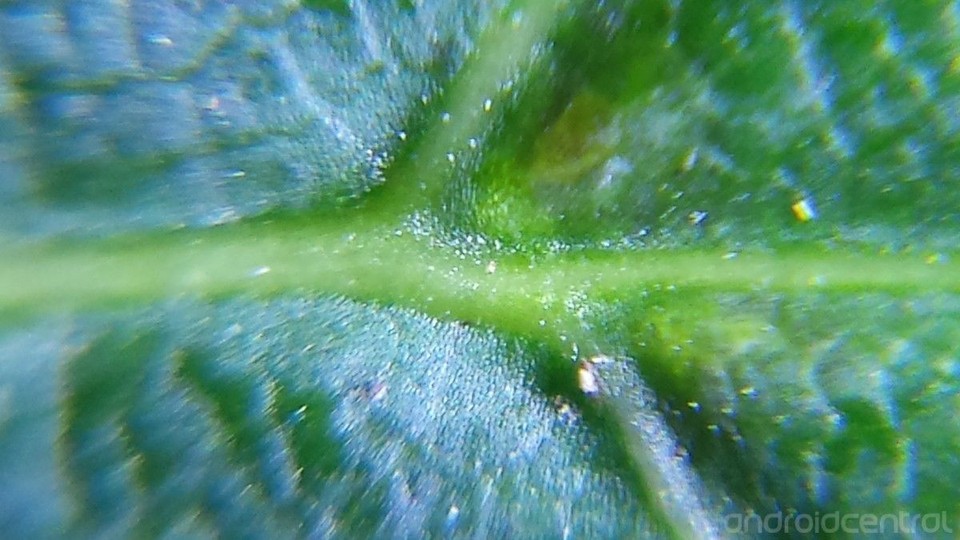 Cell Phone Clip Mini 60X Microscope Adjustable Focus Magnifier LED Coin ...